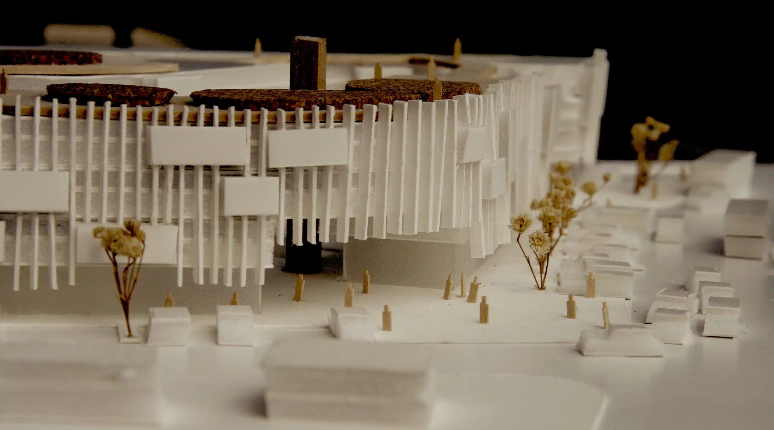 Leading Architects in Austin, Texas - Webber + Studio